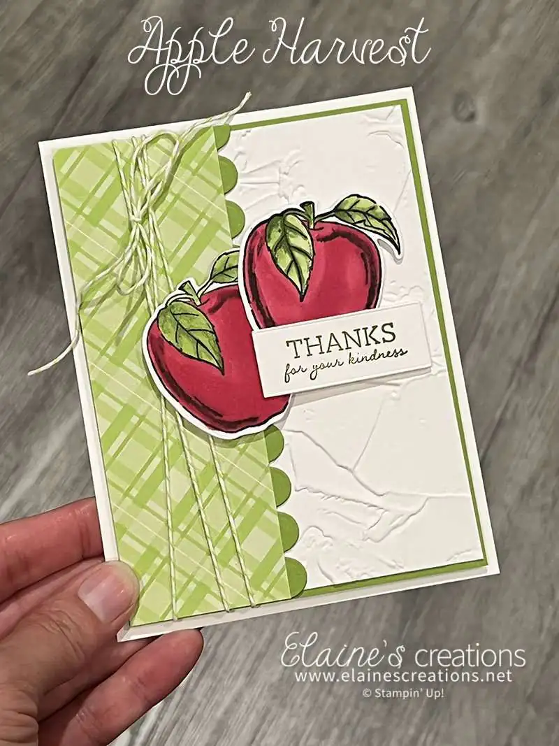 Apple Card Colored with Blends | Sweet Stampin' with Elaine's Creations ...
