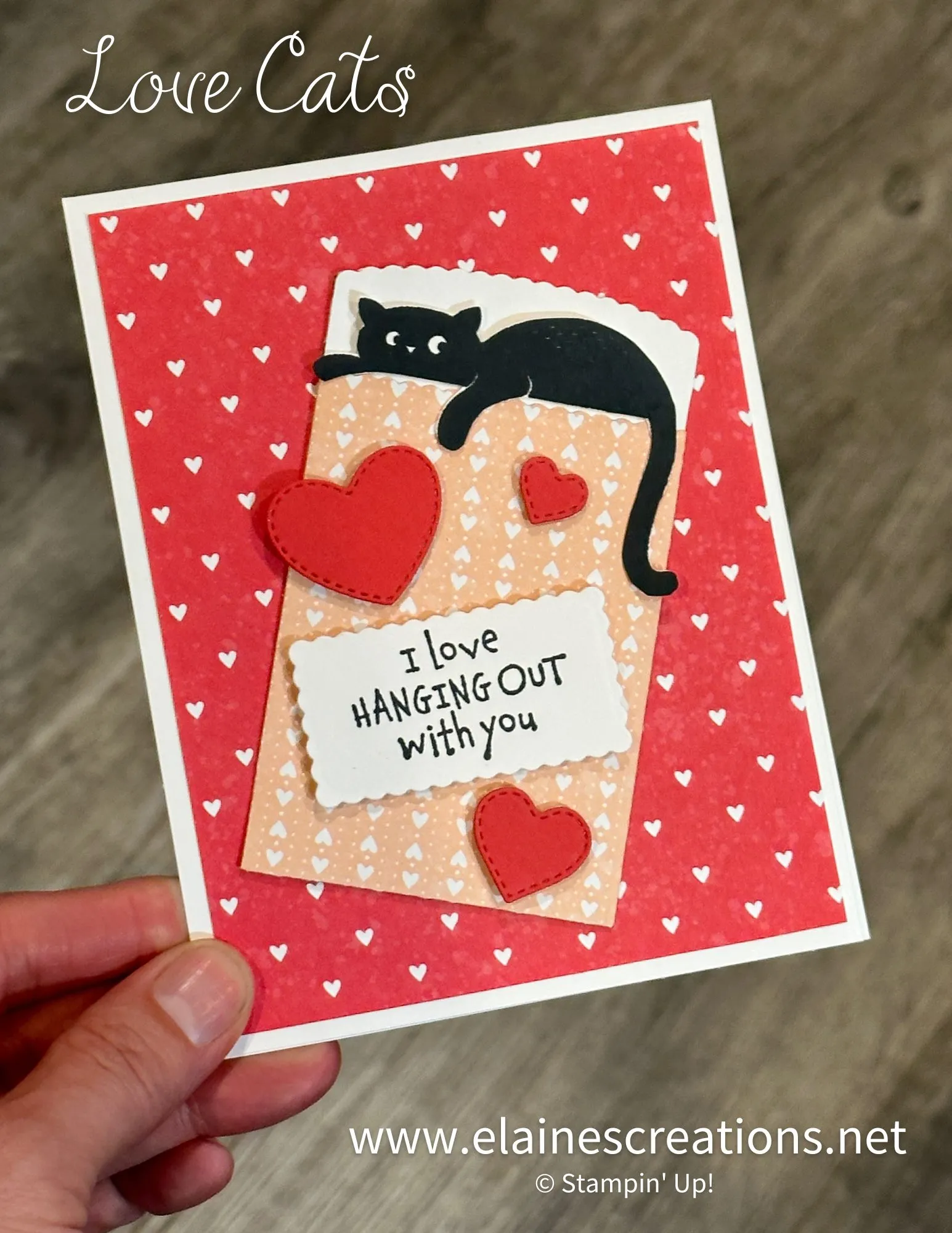 The Cutest Mini Pocket Card | Sweet Stampin' with Elaine's Creations ...